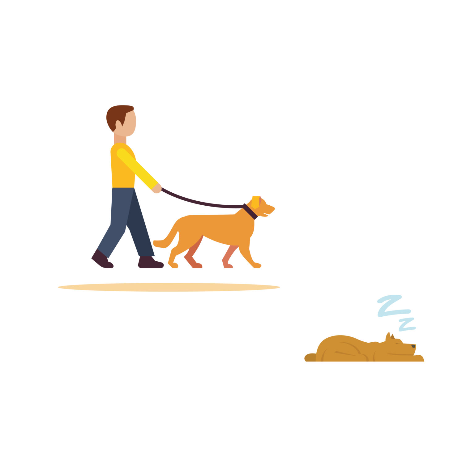 Woof Land - Parc Canin Indoor (intérieur)