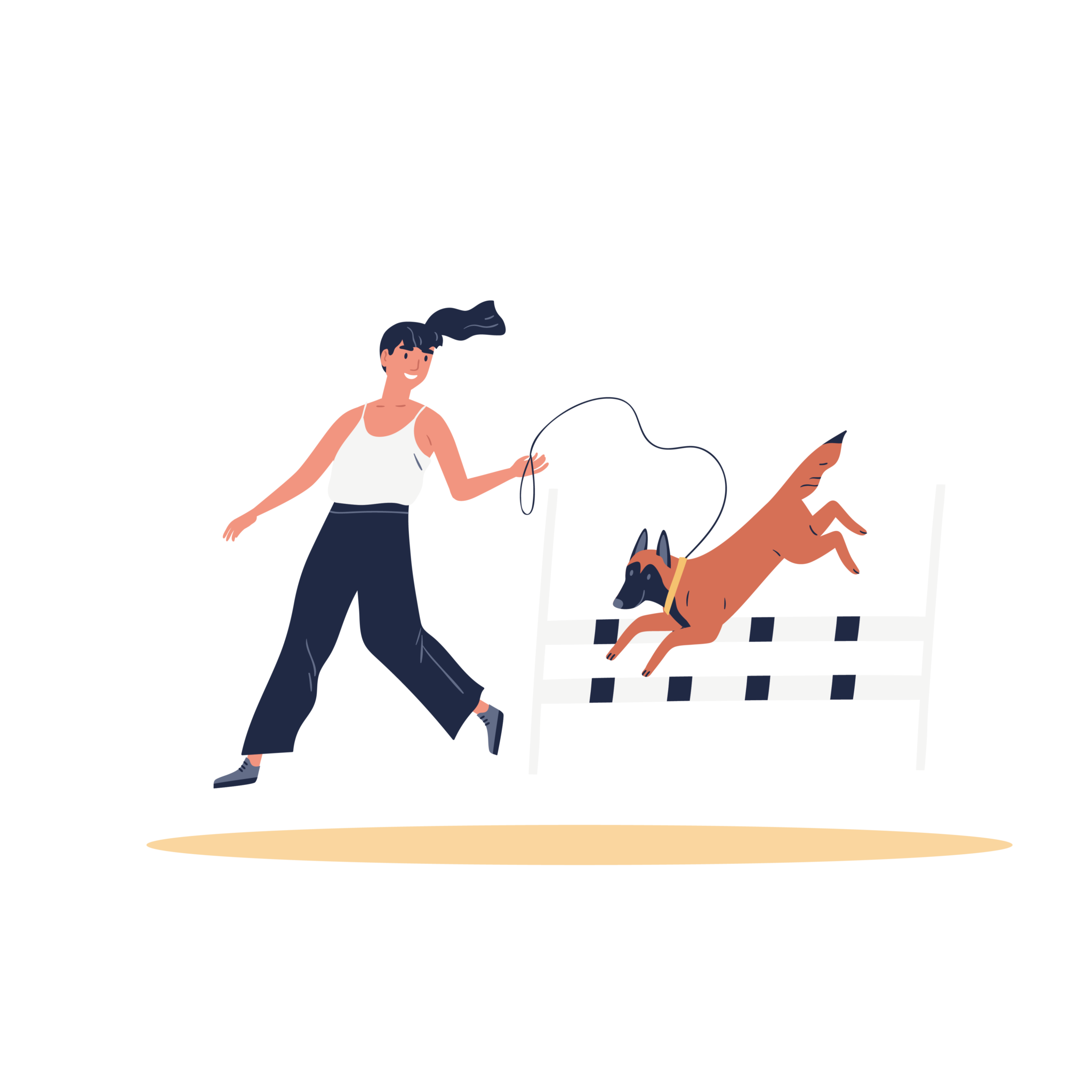 Woof Land - Parc Canin Indoor (intérieur)