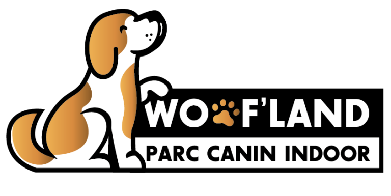 Woof Land - Parc Canin Indoor (intérieur)